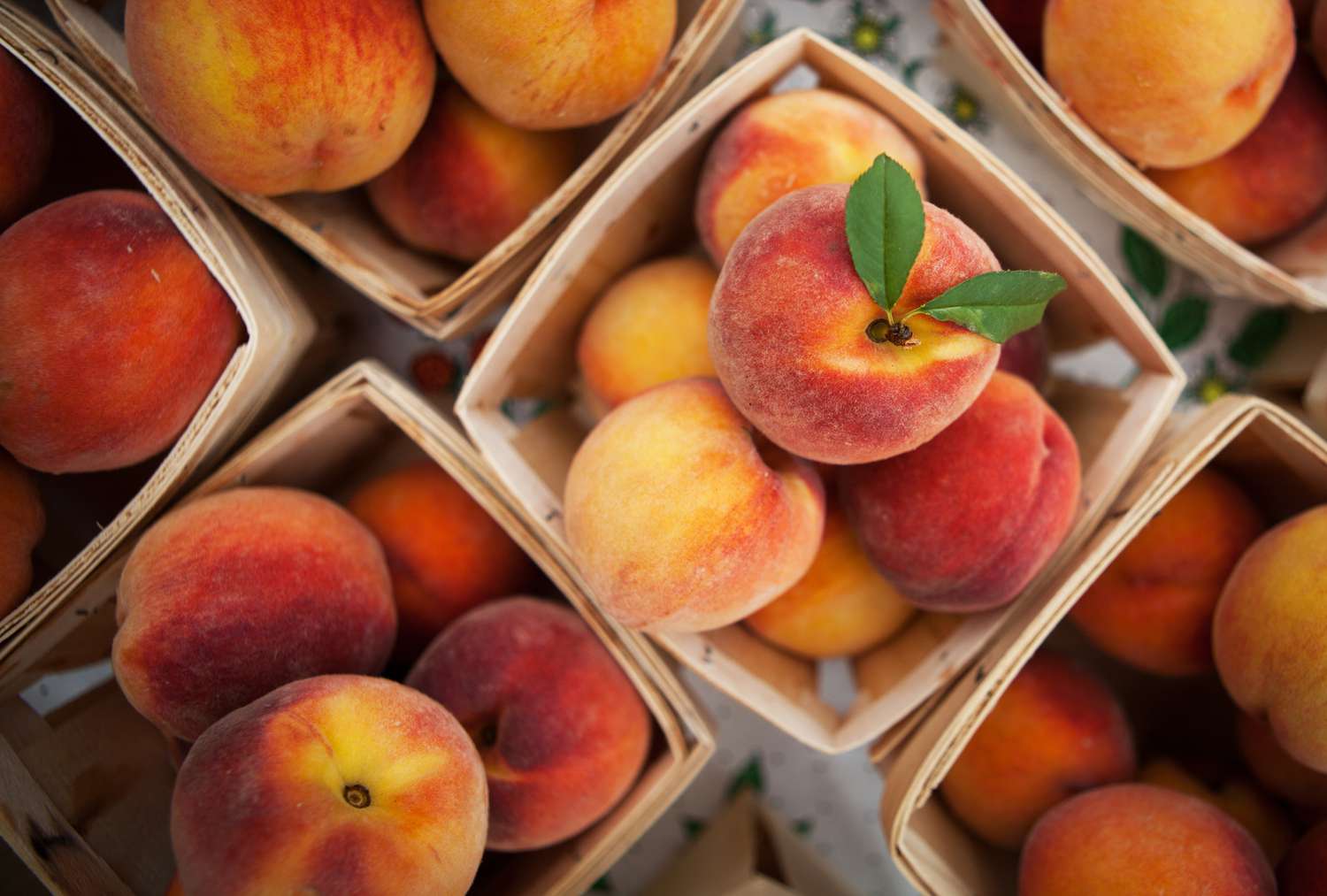 How to Store Peaches and Nectarines - Gallops Restaurant
